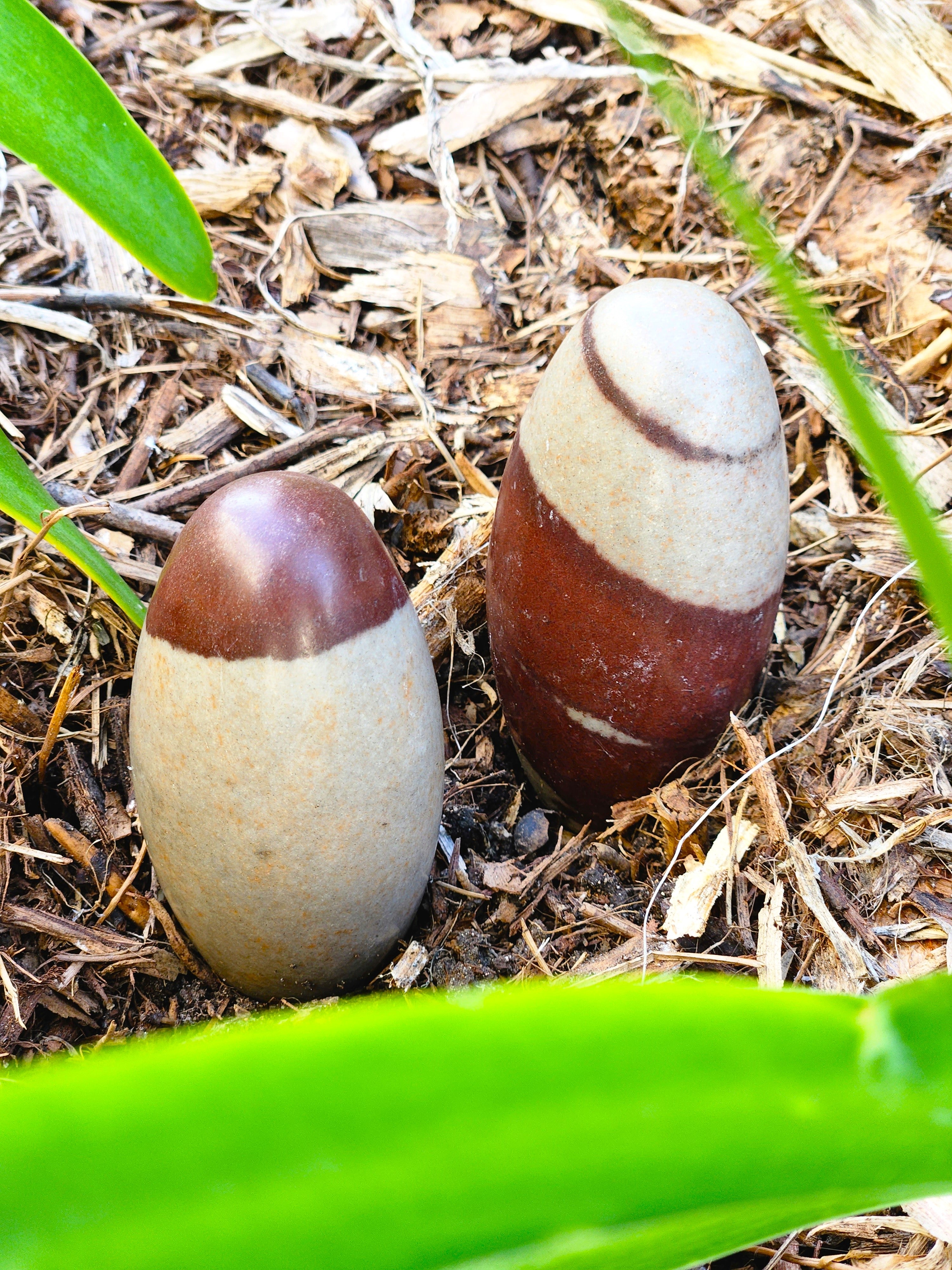 Shiva Lingam & Spirit Quartz: Boost Your Spiritual Health – Energy Muse