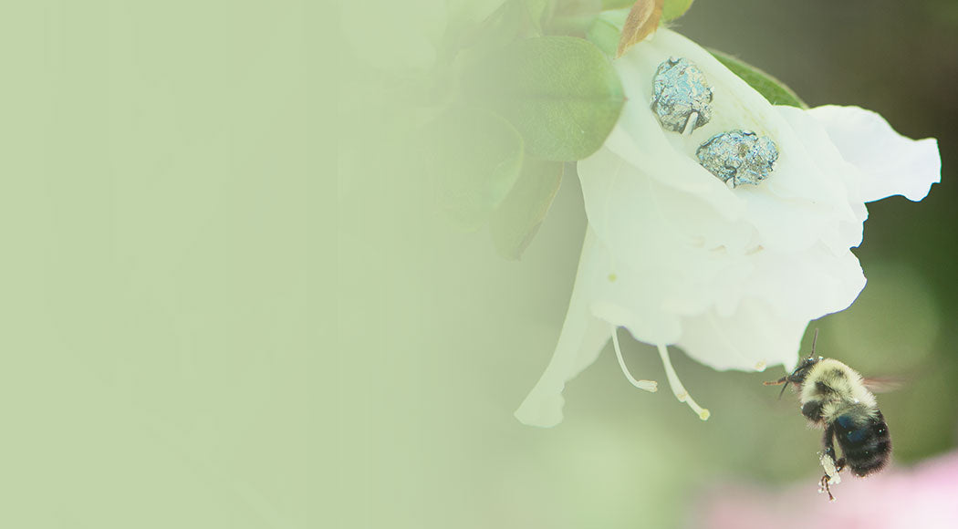 Accessorize Your Energy | Crystal Jewelry for Summer - Energy Muse