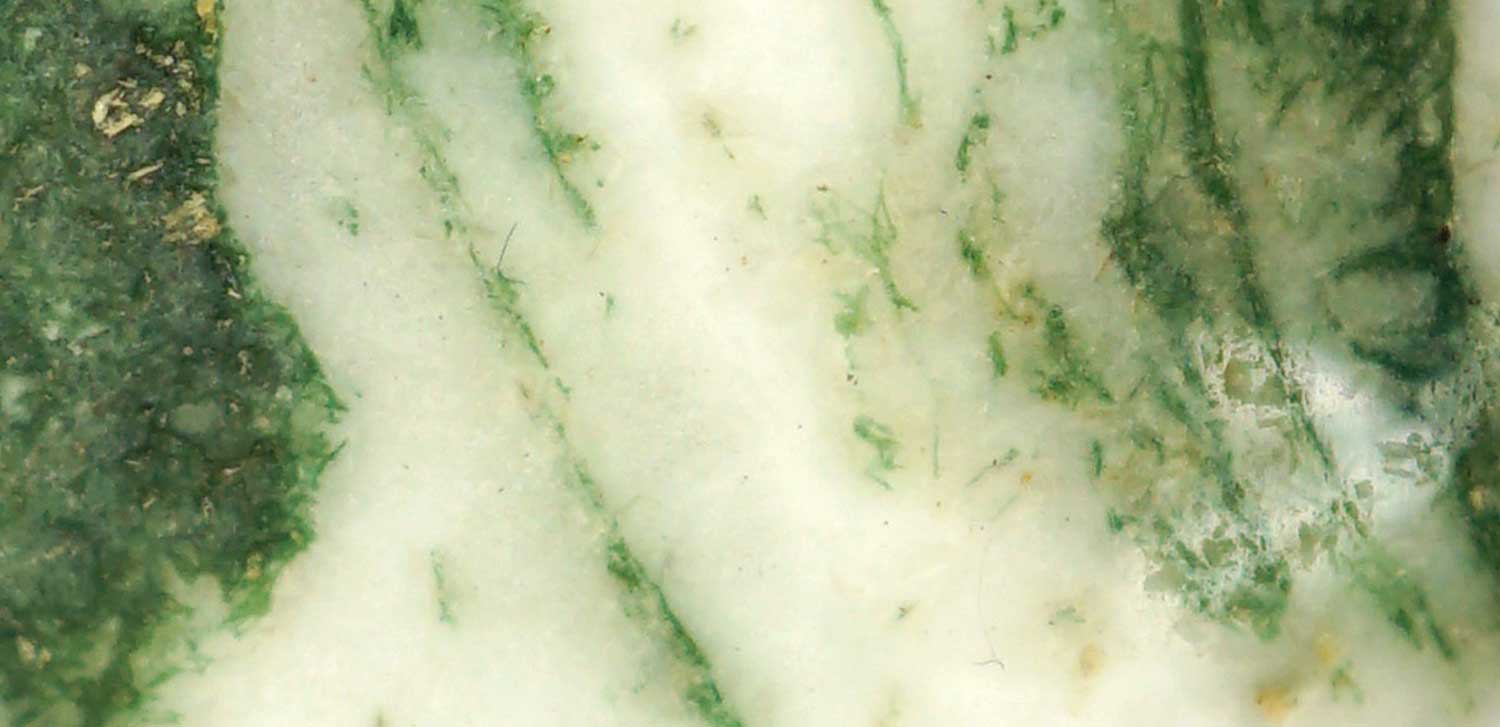 Tree Agate Jewelry, Find a Healing Tree Agate Bracelet and More ...