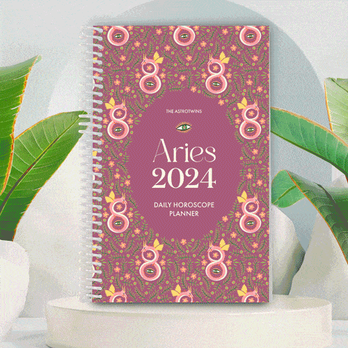 AstroTwins 2024 Daily Horoscope Planner – Energy Muse