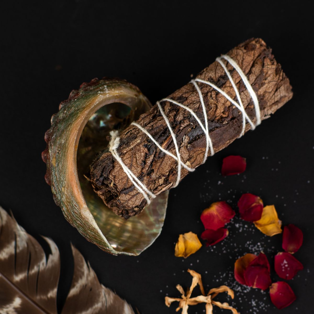 Black Sage Smudge Stick, Shop Halloween Sage Sticks – Energy Muse