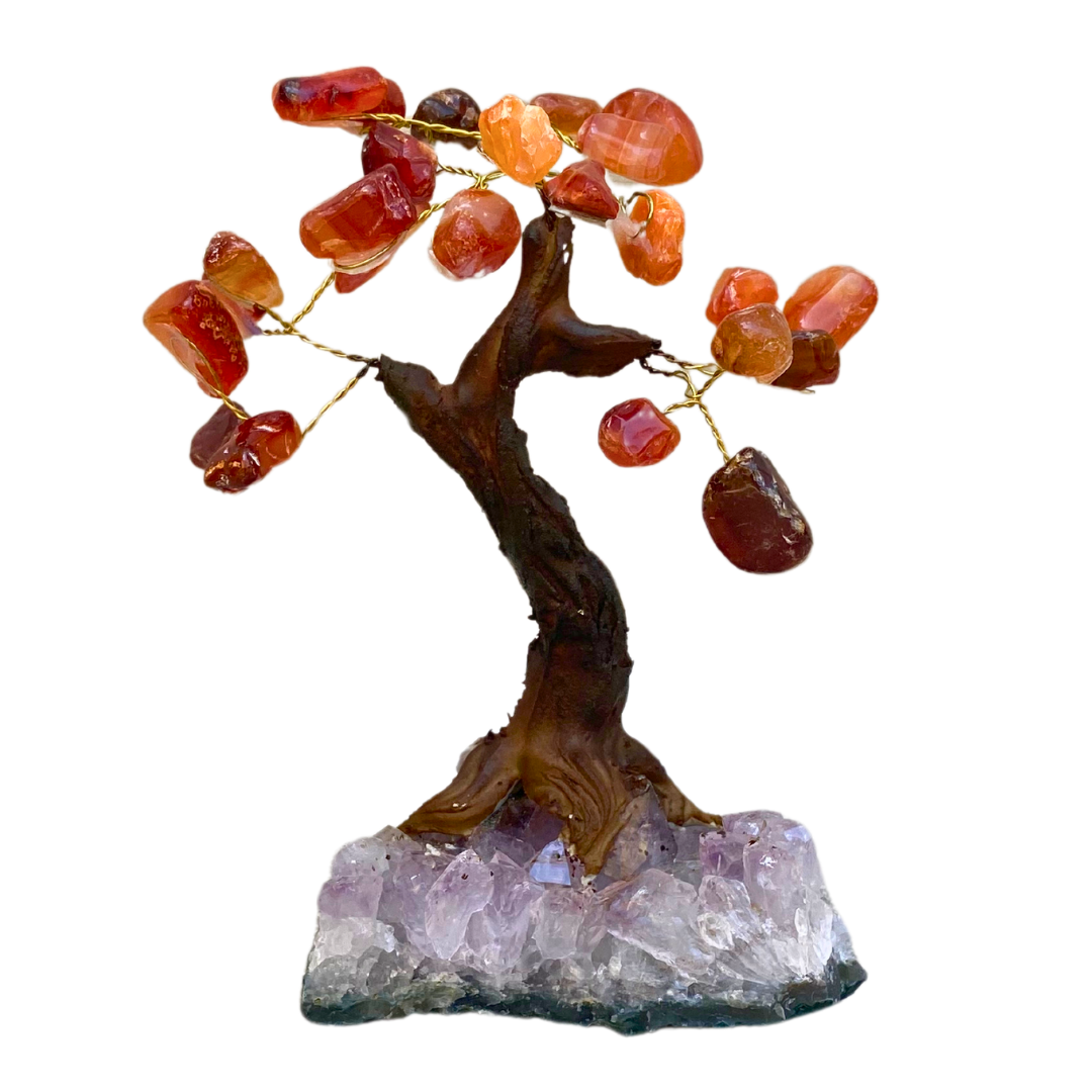 Carnelian Money Tree, Shop Carnelian Home Decor at Energy Muse