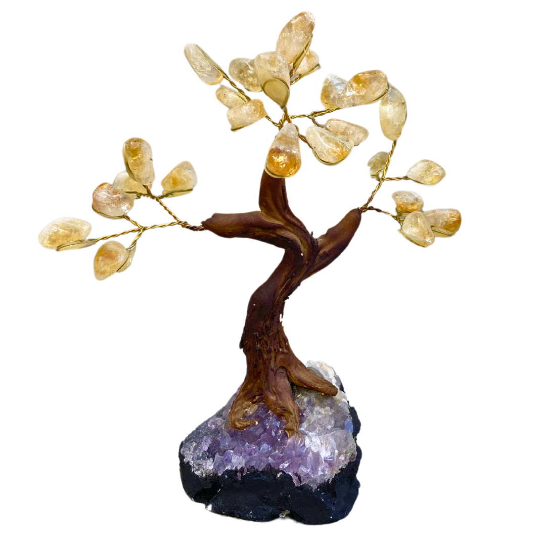 Citrine Money Tree, Shop Citrine Home Decor at Energy Muse