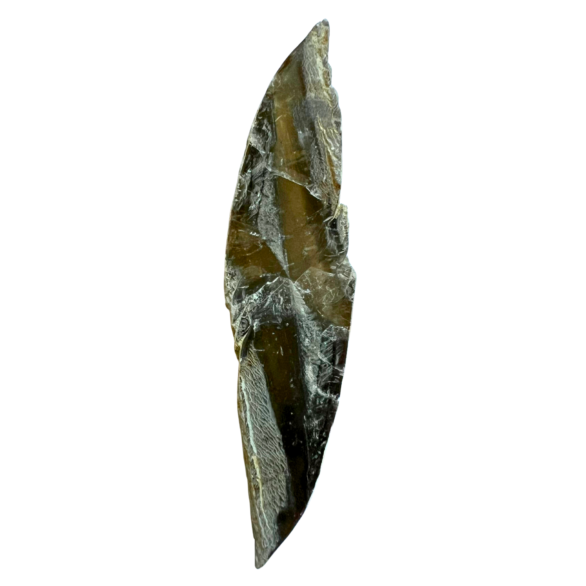UV-Reactive Nepal Selenite – Rare Crystal with Golden Glow | Energy Muse