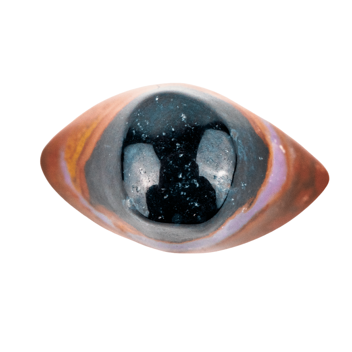 Shiva Eye Agate, Shop Agate at Energy Muse