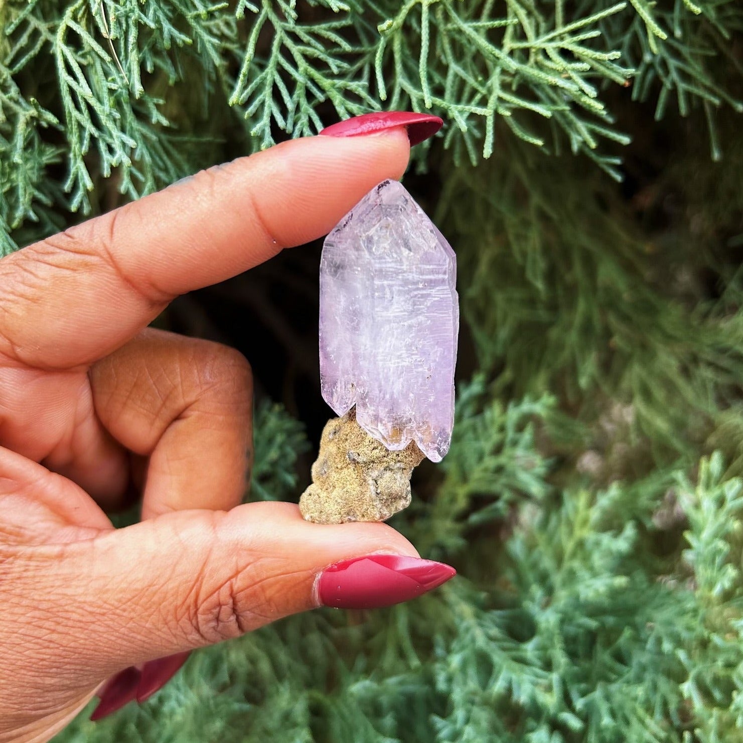 Enhydro Vera Cruz Amethyst – Energy Muse
