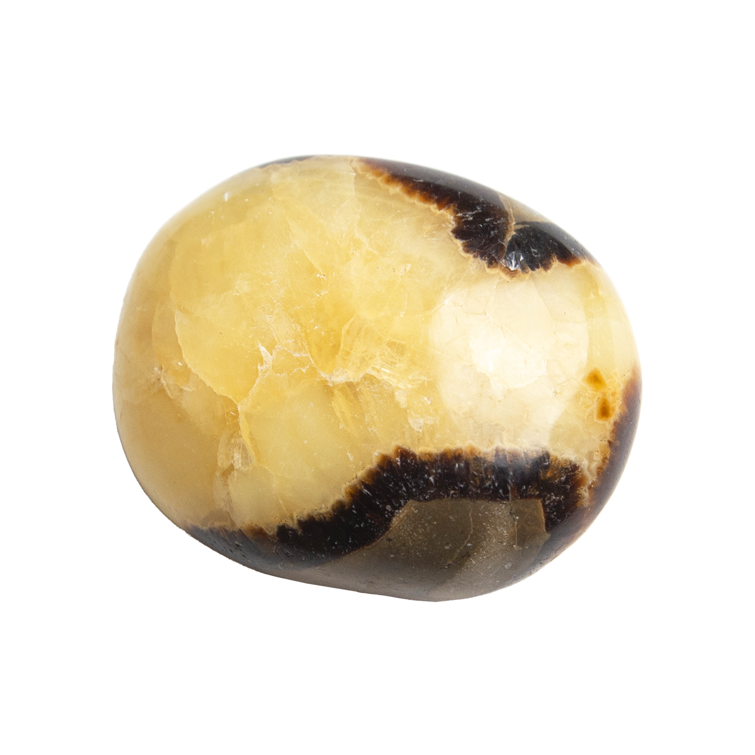 Septarian Touchstone | Shop Septarian at Energy Muse