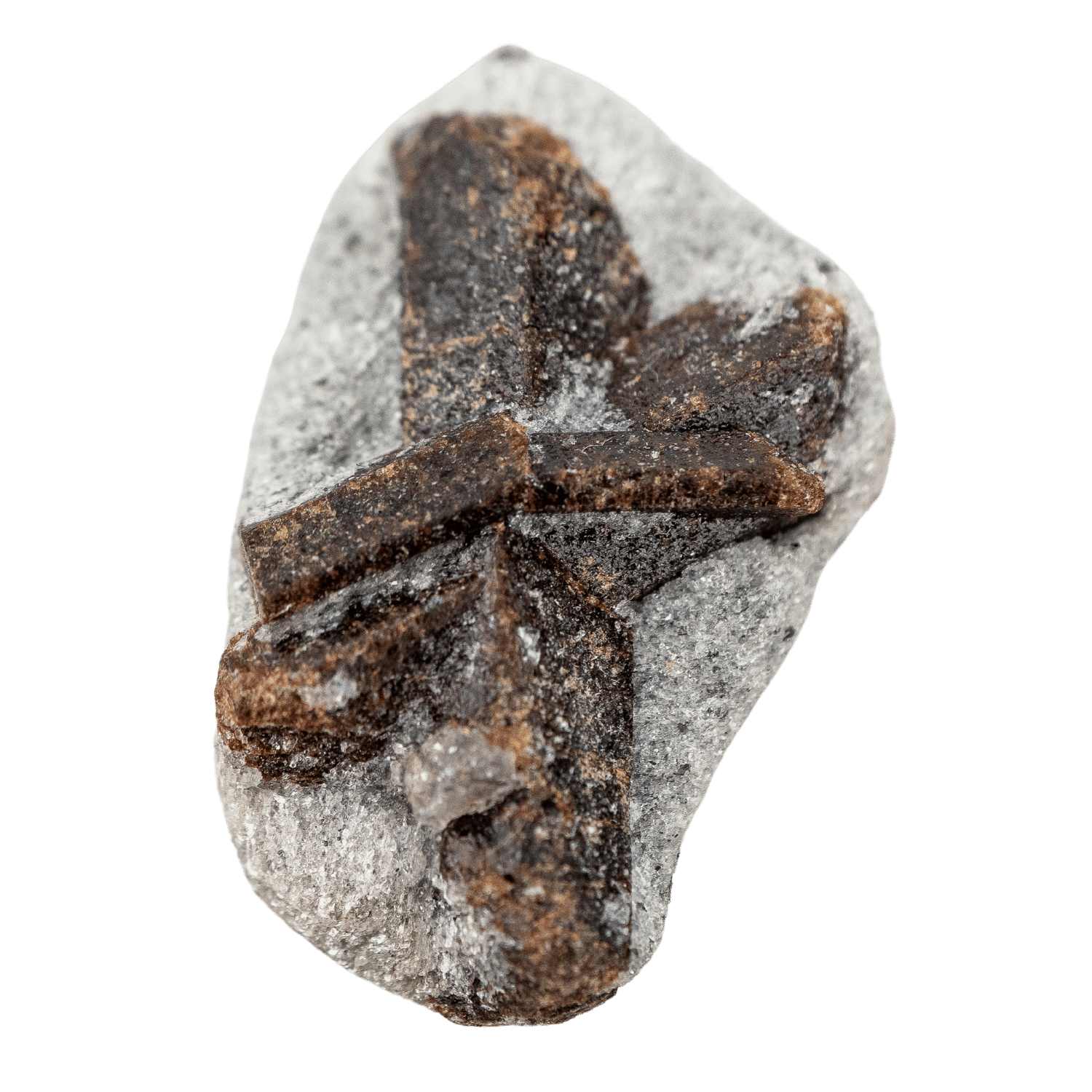 Staurolite Crystal | Shop Fairy Cross Stones from Energy Muse