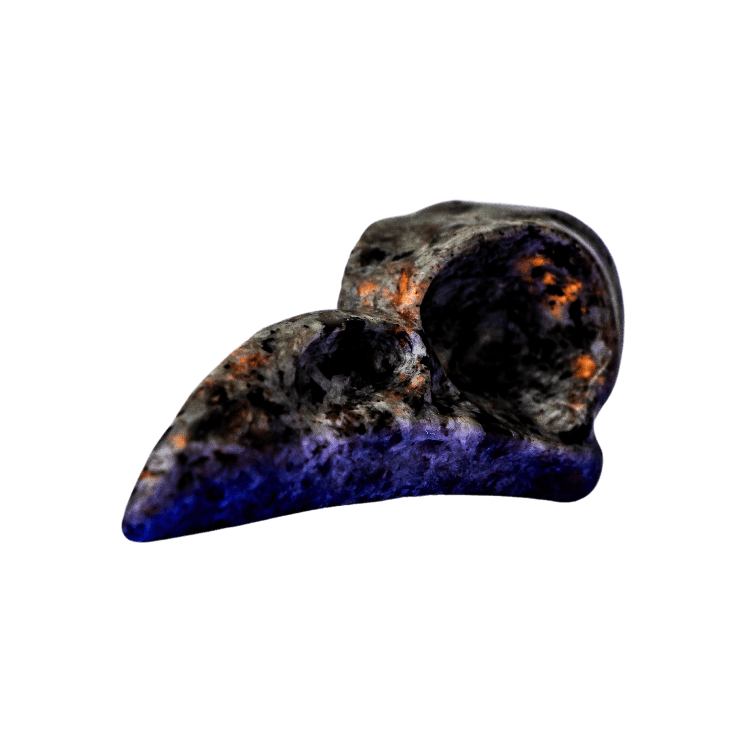 Yooperlite Crow Skull | Shop the Halloween Collection – Energy Muse